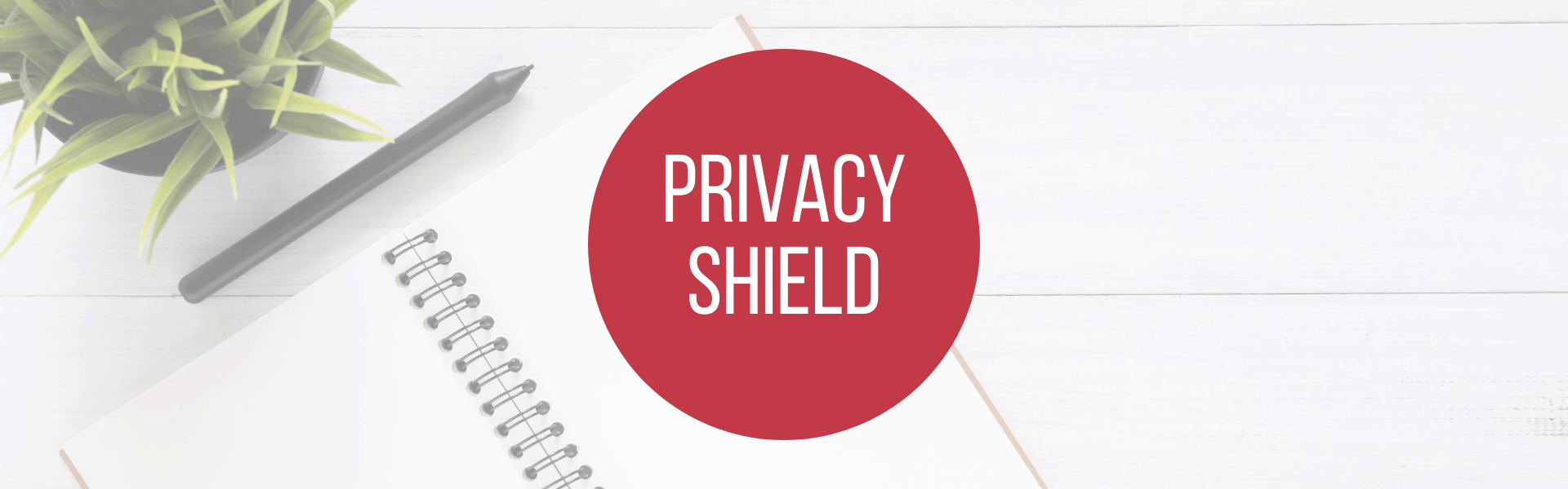 Privacy Shield » Fachbegriffe verständlich » medienkraft.at