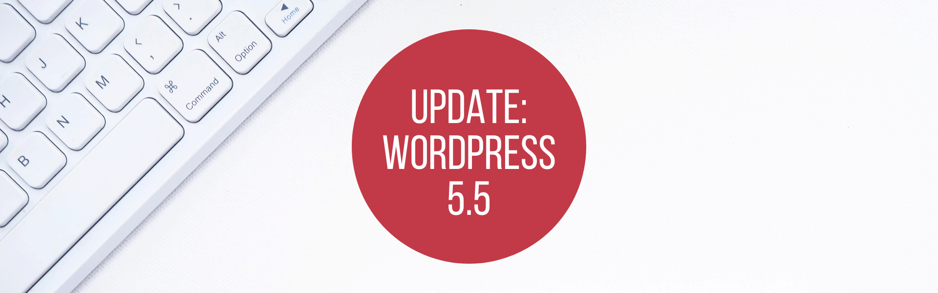 Wordpress 5.5 "Eckstine" – Was ist neu?